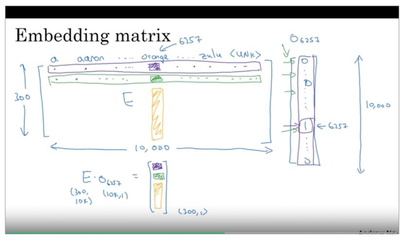 Basics of Natural Language Processing | i2tutorials