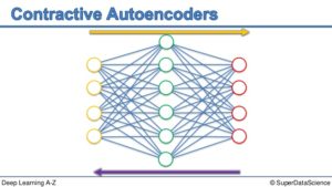 Explain about the Contractive autoencoders? | i2tutorials