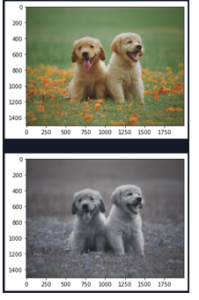 Image Processing using SciPy and Python | i2tutorials