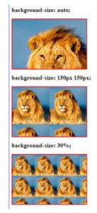 CSS Background-size | i2tutorials